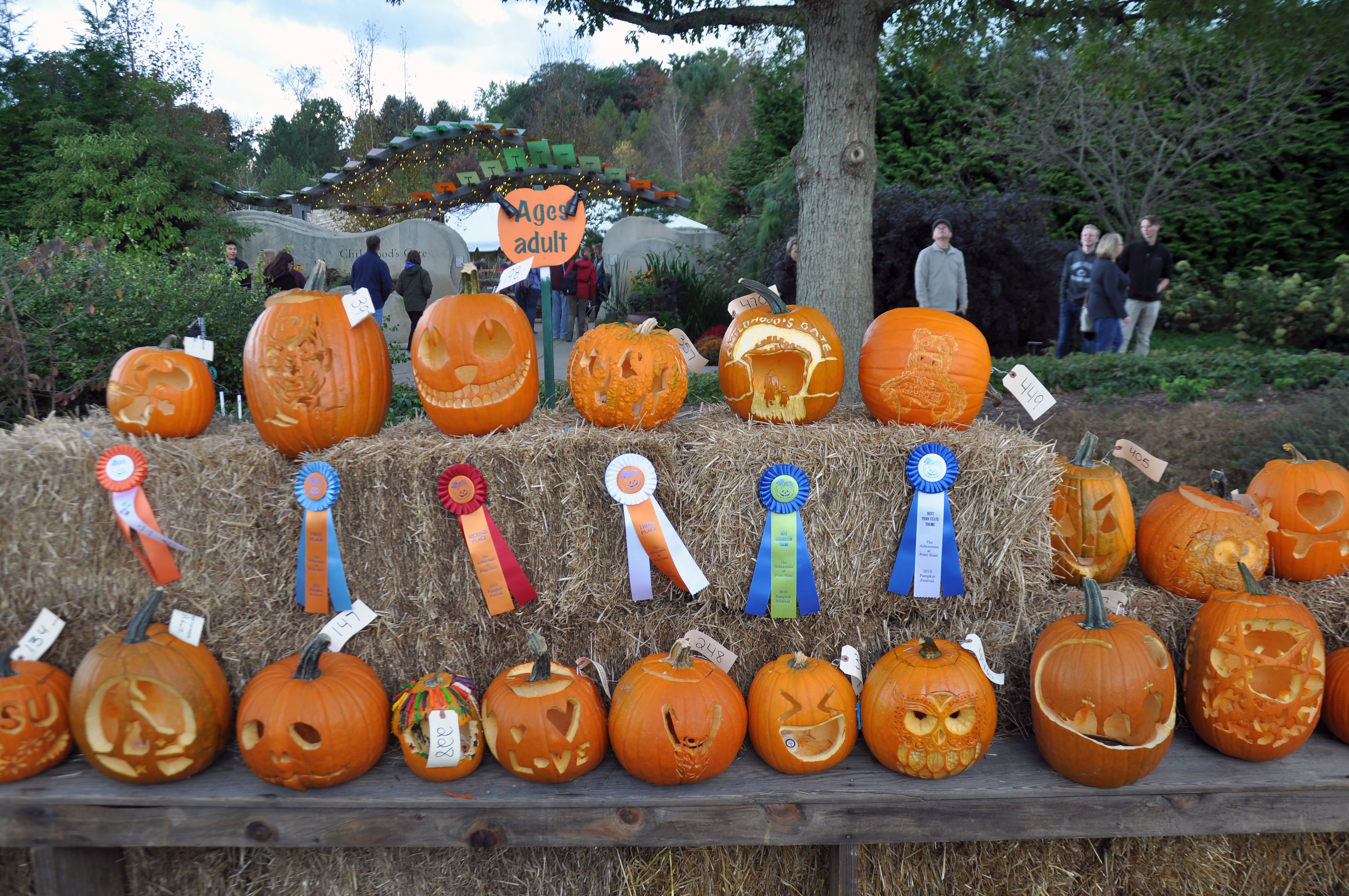The Arboretum at Penn State to host pumpkin festival Oct. 6 and Oct. 11 ...