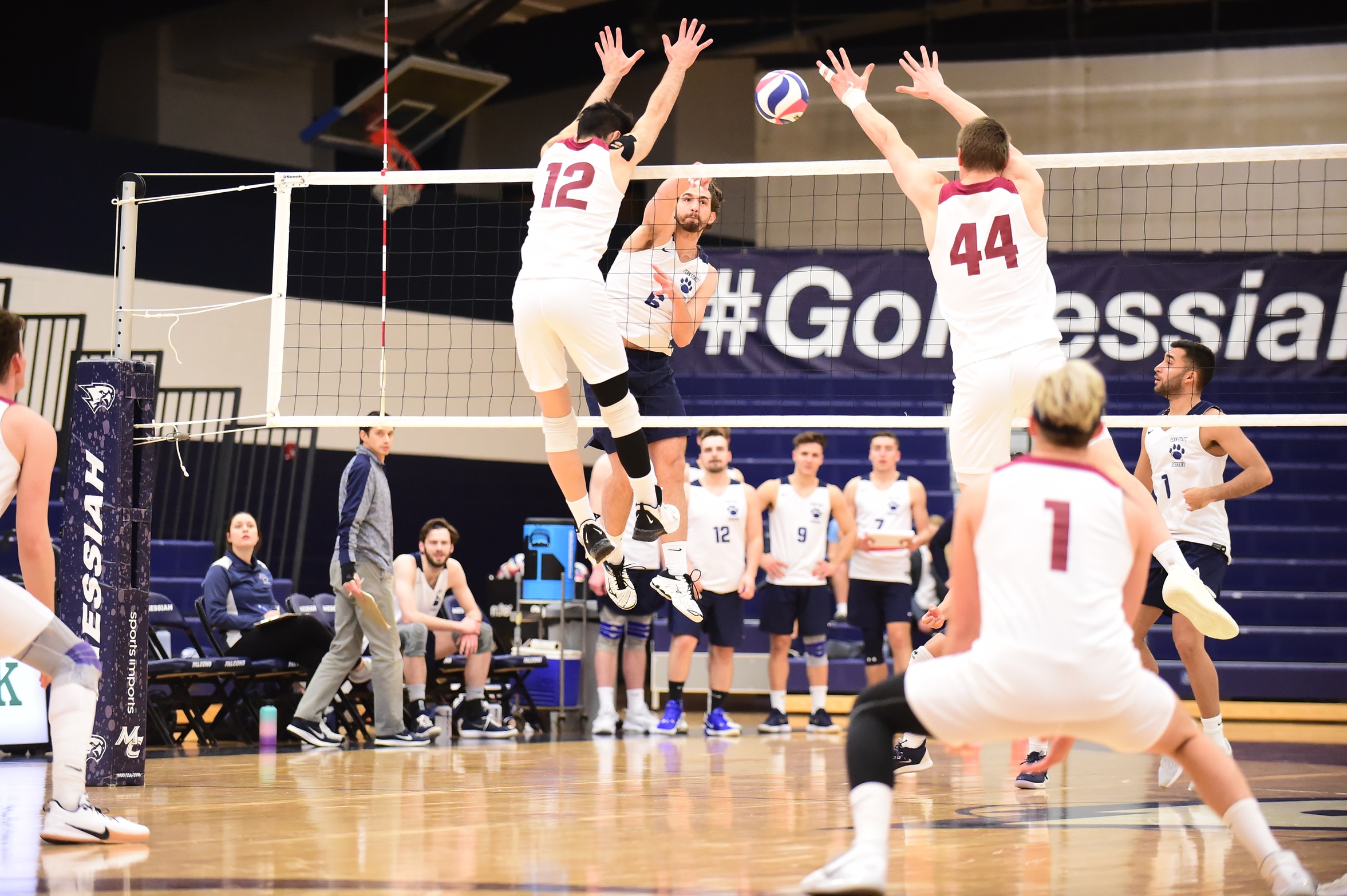 Behrend volleyball team wins four in straight sets and other sports ...