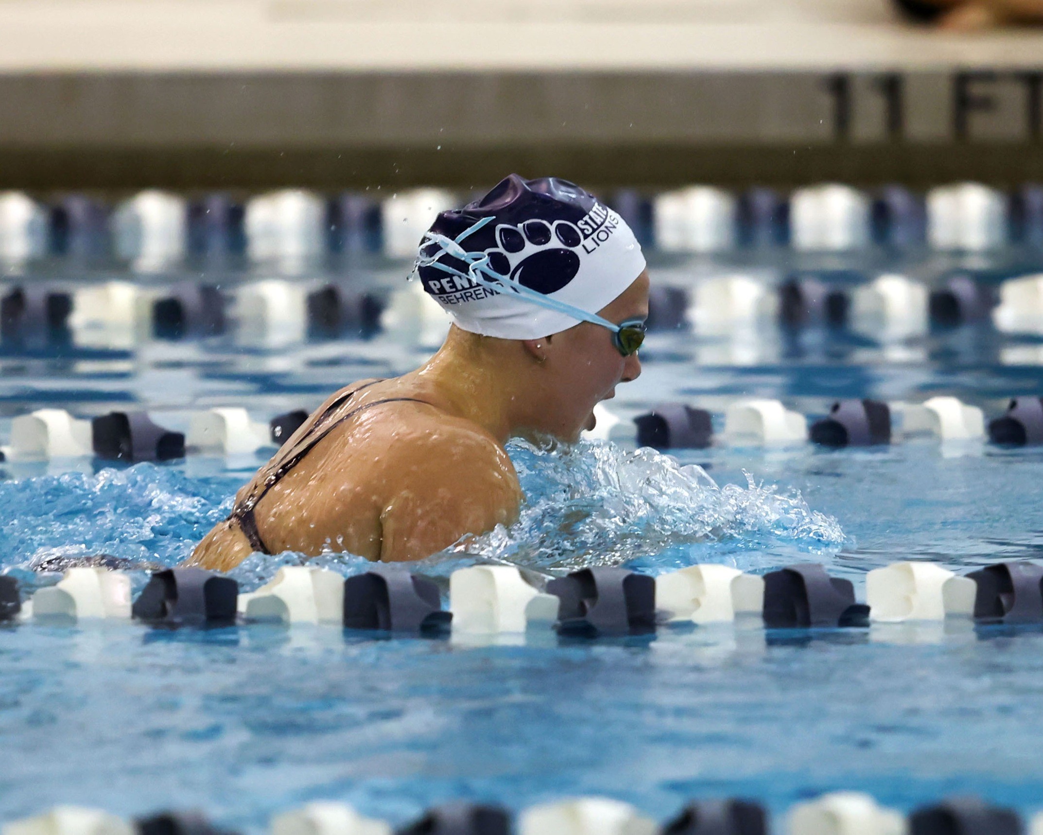 Behrend swimming and diving teams finish home seasons with wins over ...