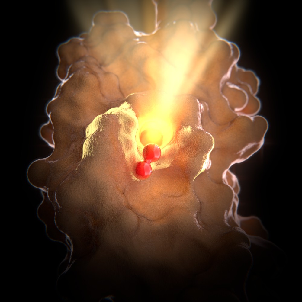 Oxygen can wake up dormant bacteria for antibiotic attacks | Penn State ...