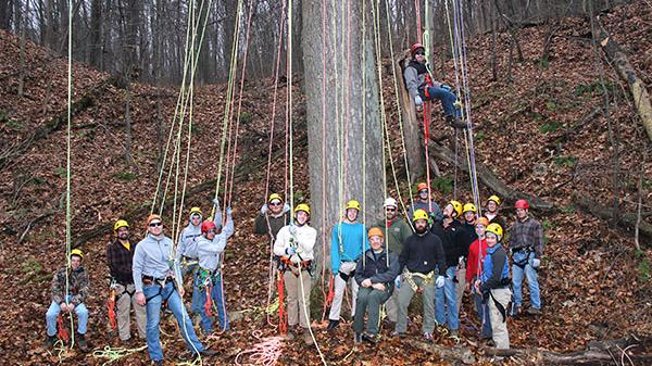 Mont Alto forestry students conquer 135-foot yellow poplar in 'Big Tree ...