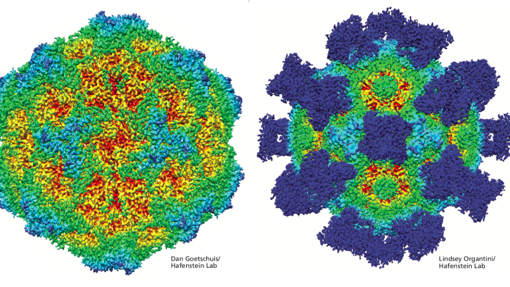Penn State enters new era of atomic-level imaging with cryo EM facility ...