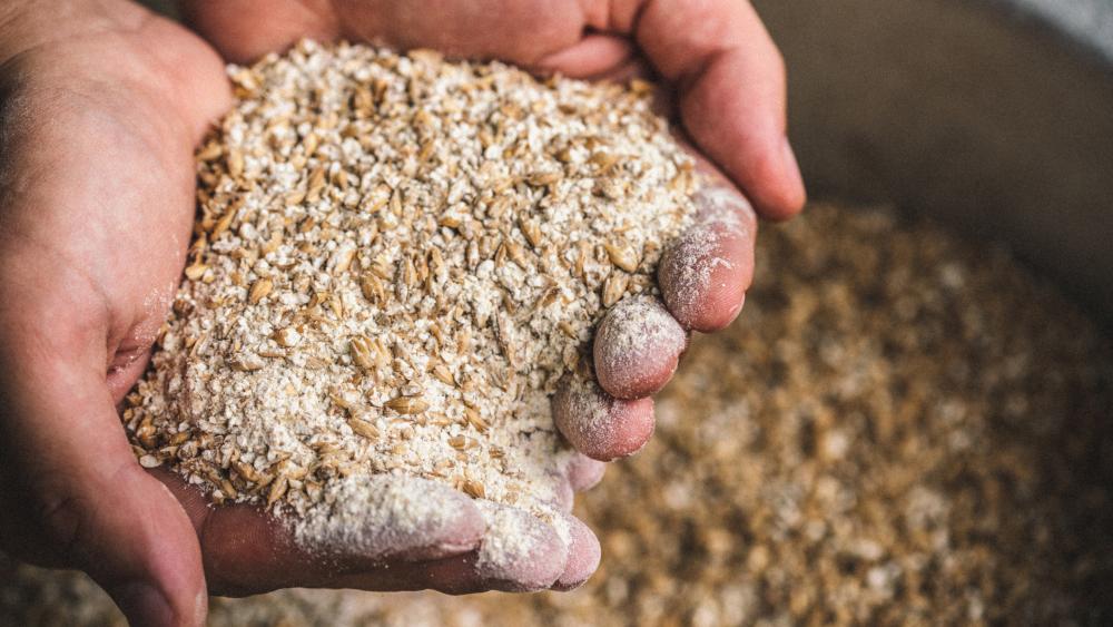 With modified mashing process, gluten-free grains can produce quality ...