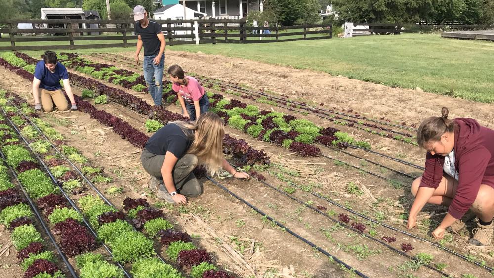 Student Farm moves to Student Affairs and collaborative governance ...