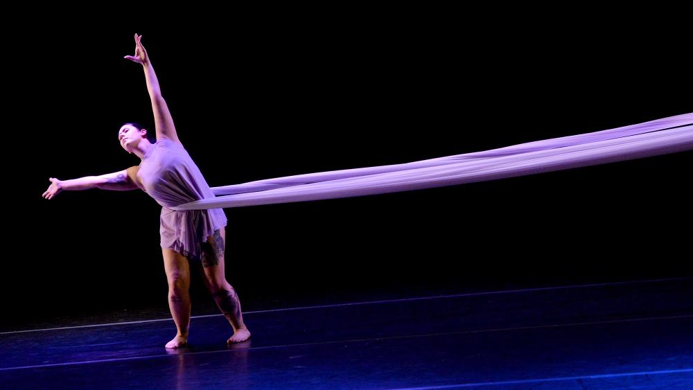 Altoona’s Ivyside Dance Ensemble to perform with Allied Motion Dance ...