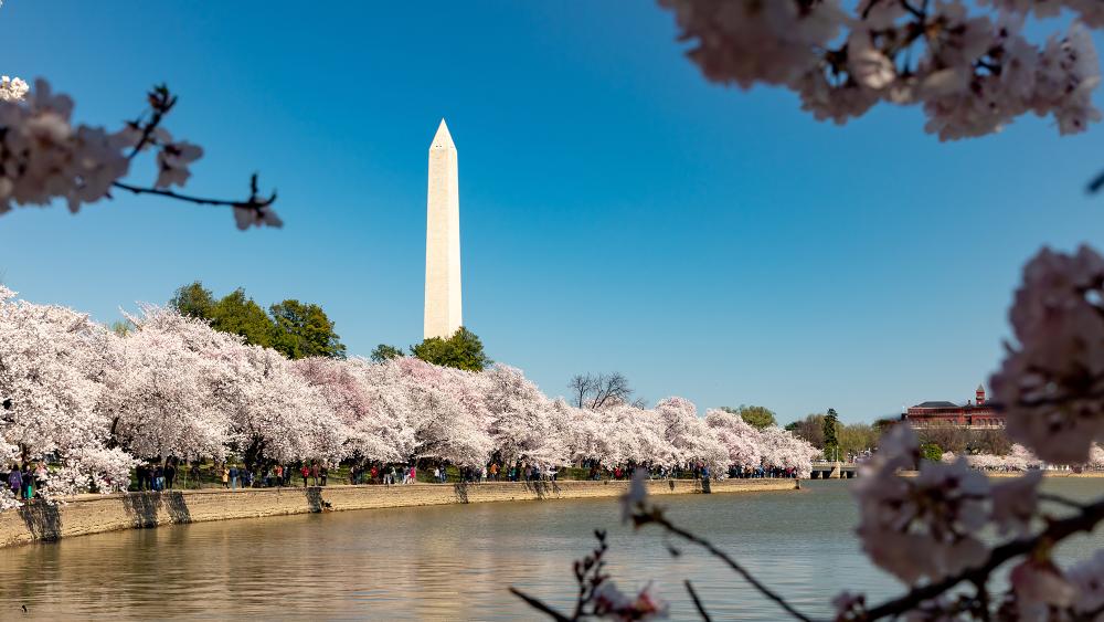 Washington, D.C. trip planned for April 7 | Penn State University
