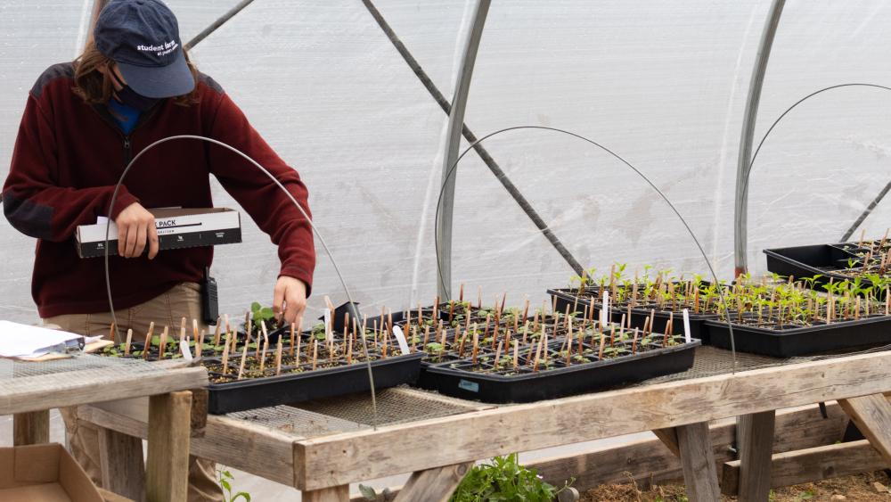 Student Farm Club's 8th annual plant sale to be held on April 29 | Penn ...