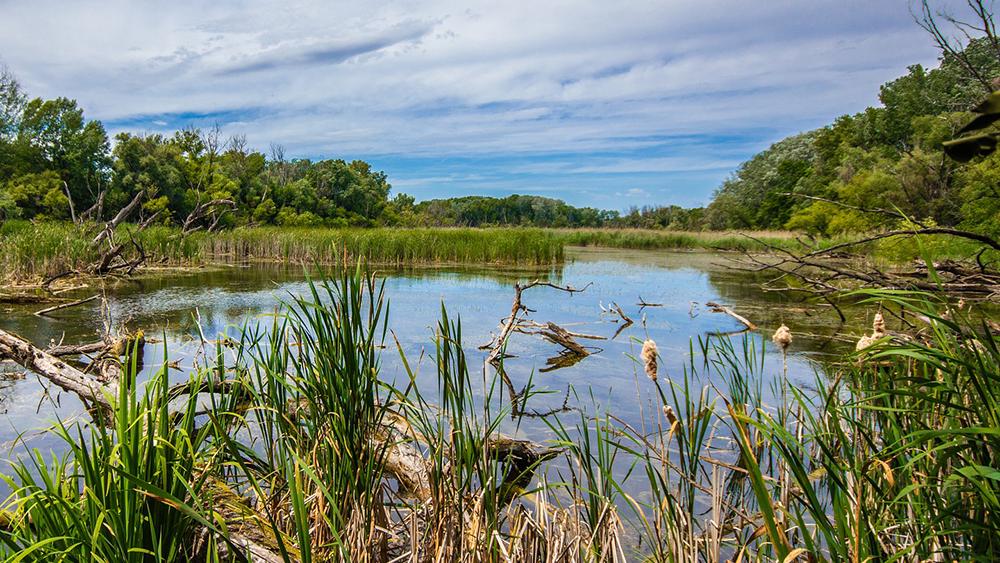 Carbon flow through inland and coastal waterways, implications for ...