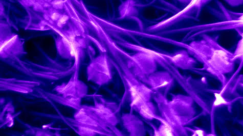 Real-time, accurate virus detection method could help fight next ...