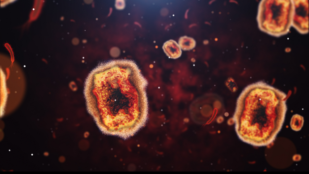 What do I need to know about monkeypox now? | Penn State University
