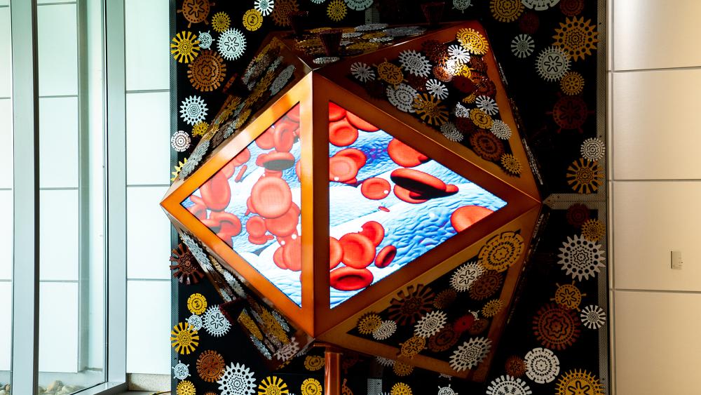 New SciArt installation reflects on viruses in our everyday lives ...