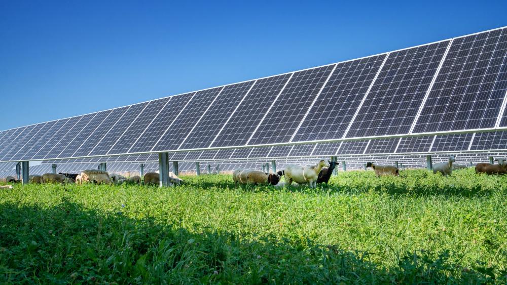 Savings from solar energy exceeds University’s expectations | Penn ...