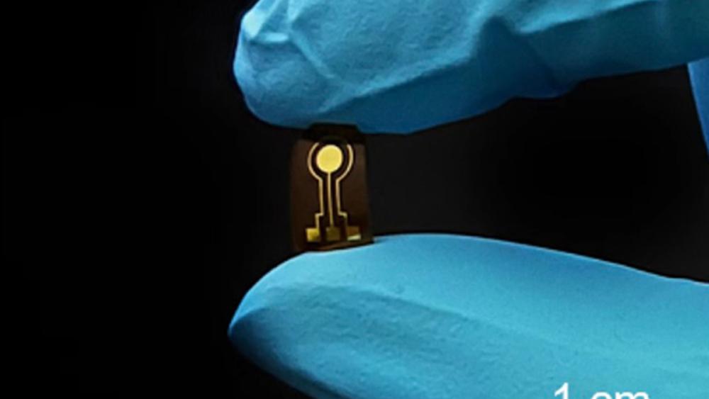 Novel implantable sensor sniffs out possible signals of osteoarthritis ...
