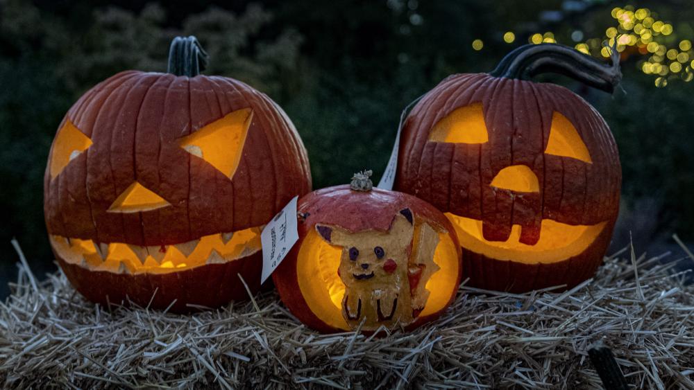 Arboretum hosts the annual Pumpkin Festival | Penn State University