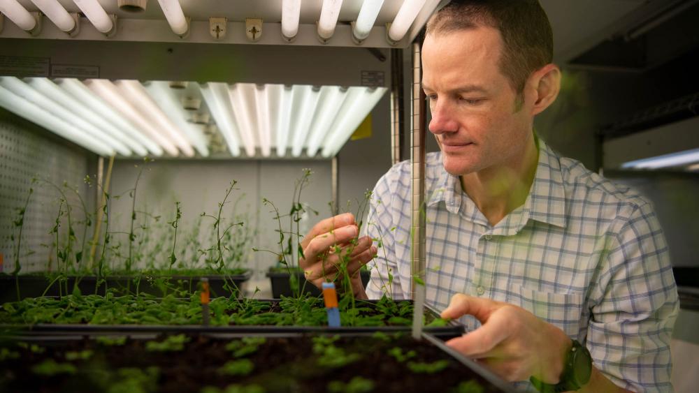 Scientist sees Penn State as a 'living lab' for climate action | Penn ...