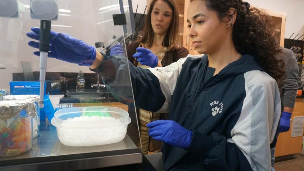 Female faculty help shape student's research experiences at Penn State ...