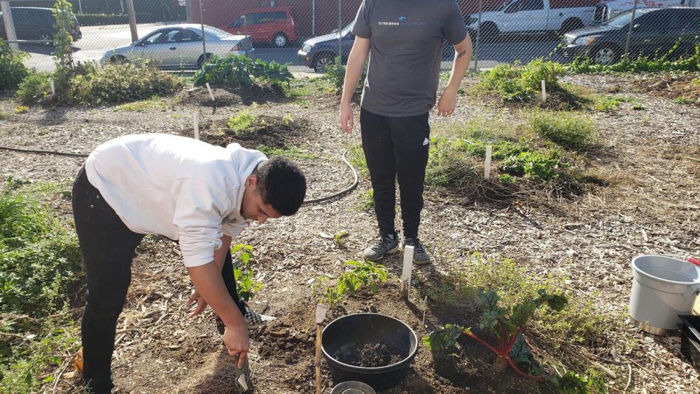 Penn State Berks and Moscow State students collaborate to promote ...