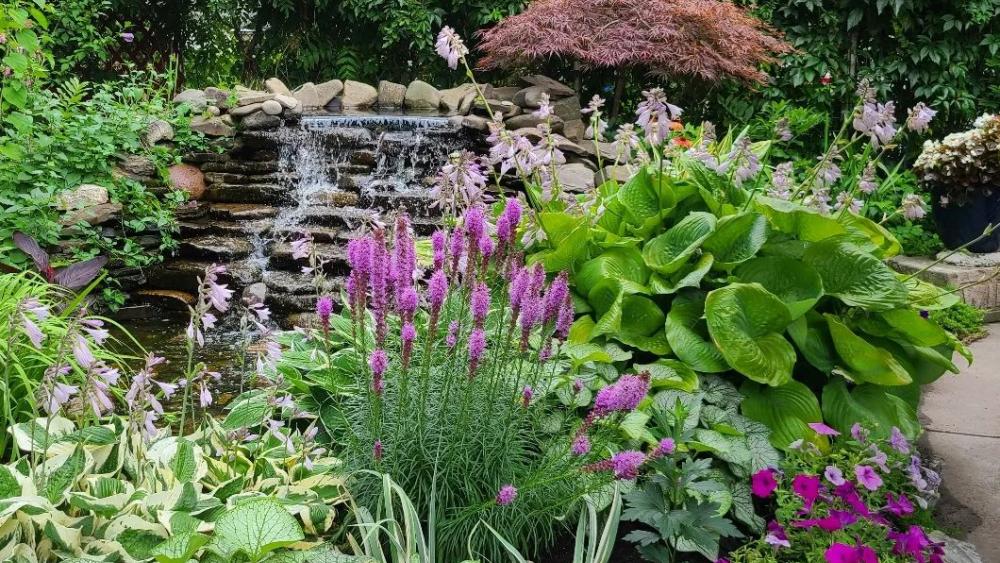 ‘Keeping it Green’ podcast aimed at plant professionals and enthusiasts ...