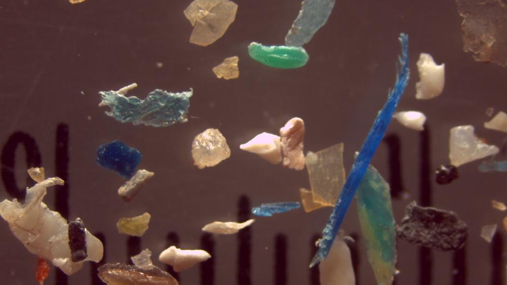 Sounding the alarm on microplastic pollution | Penn State University