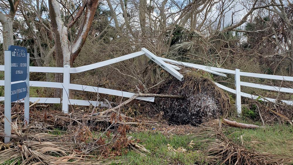 Archaeologists awarded NSF grant to survey hurricane-damaged heritage ...