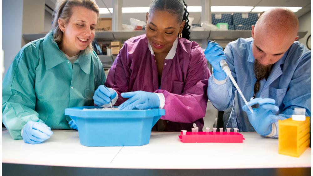 Eberly College of Science launches new research headlines edition ...