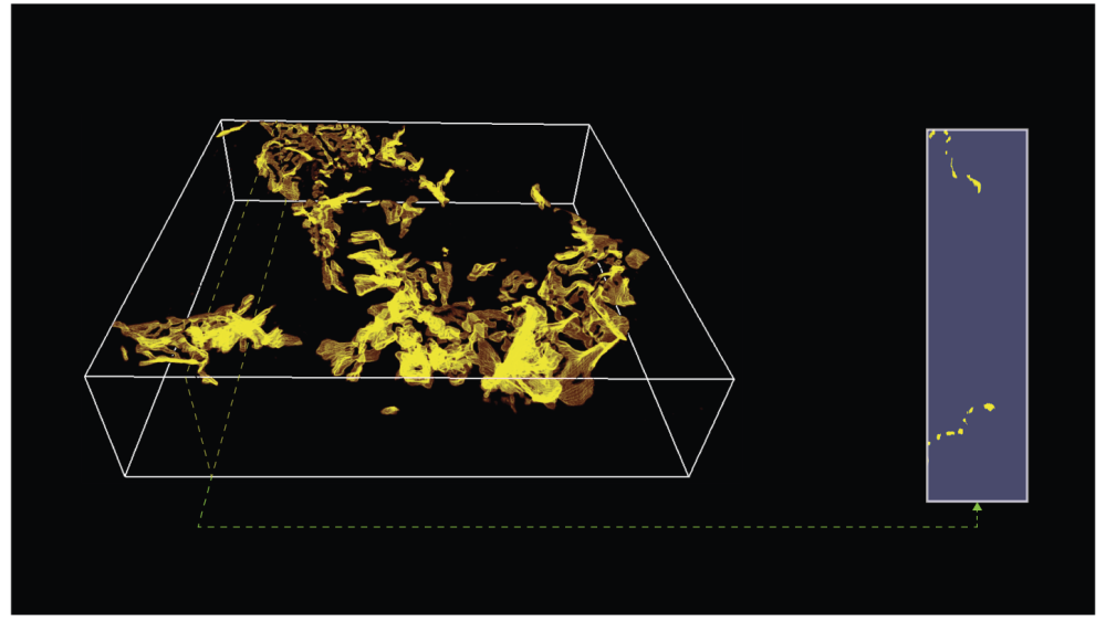 Scientists identify new mechanism of corrosion | Penn State University