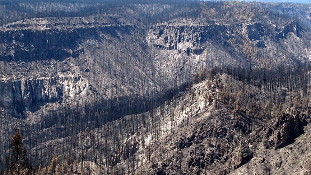Hotter and drier conditions limit forest recovery from wildfires | Penn ...