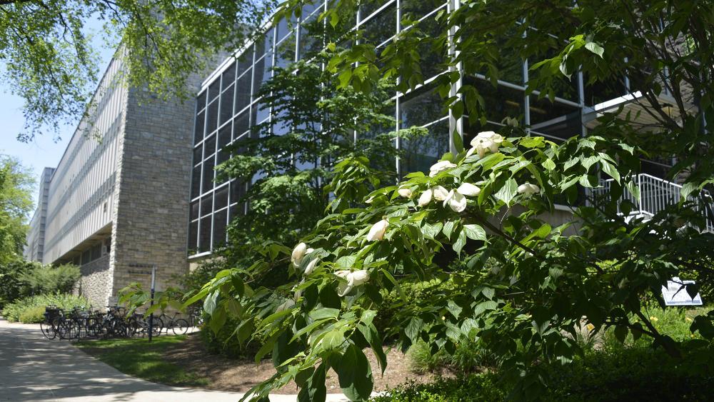 Online engineering degrees help students and alumni find career success ...