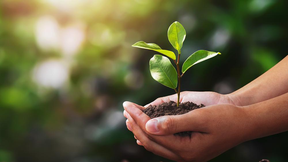 Penn State Altoona Participating In Sustainability Challenge Penn