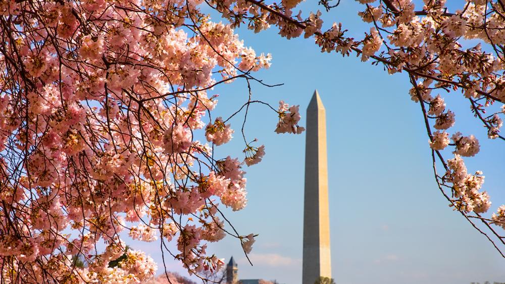 Penn State Altoona to host Washington D.C. bus trip April 4 | Penn ...