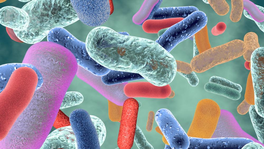 Essential mechanism for bacterial gut colonization discovered | Penn ...