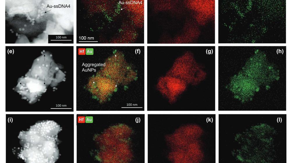 First rapid test for mpox developed, tech adaptable for other emerging ...