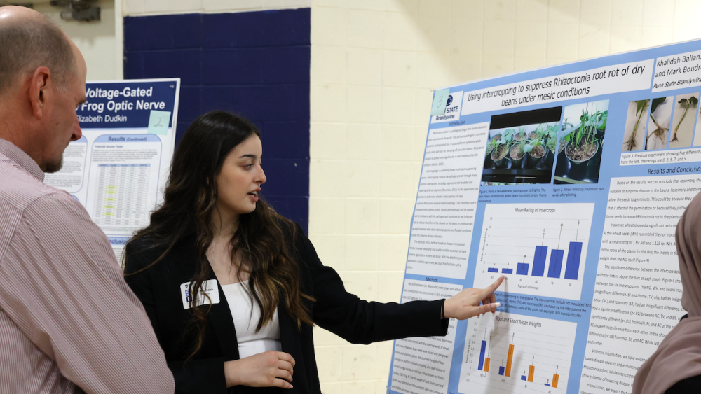 Student engagement expo highlights research, internships, clubs, art and more | Penn State ...