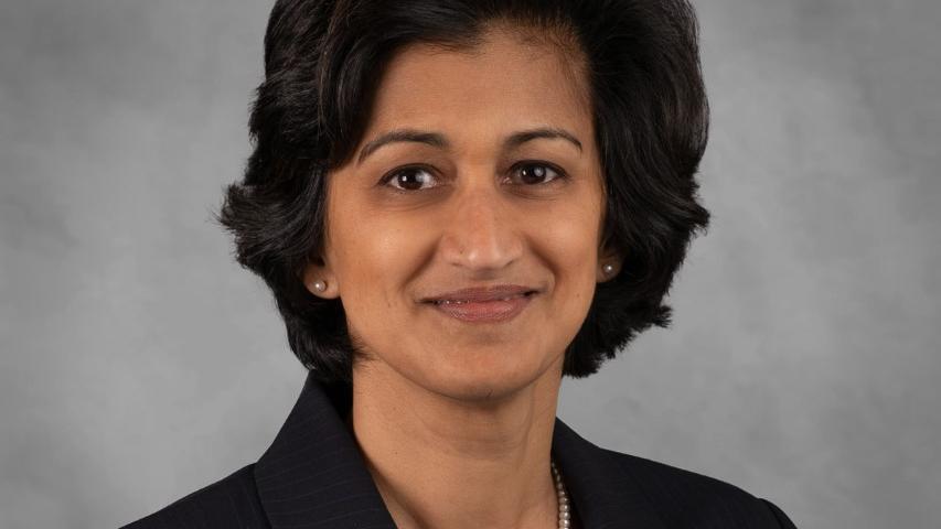 Radha Pyati named next chancellor and dean of Penn State Berks | Penn ...