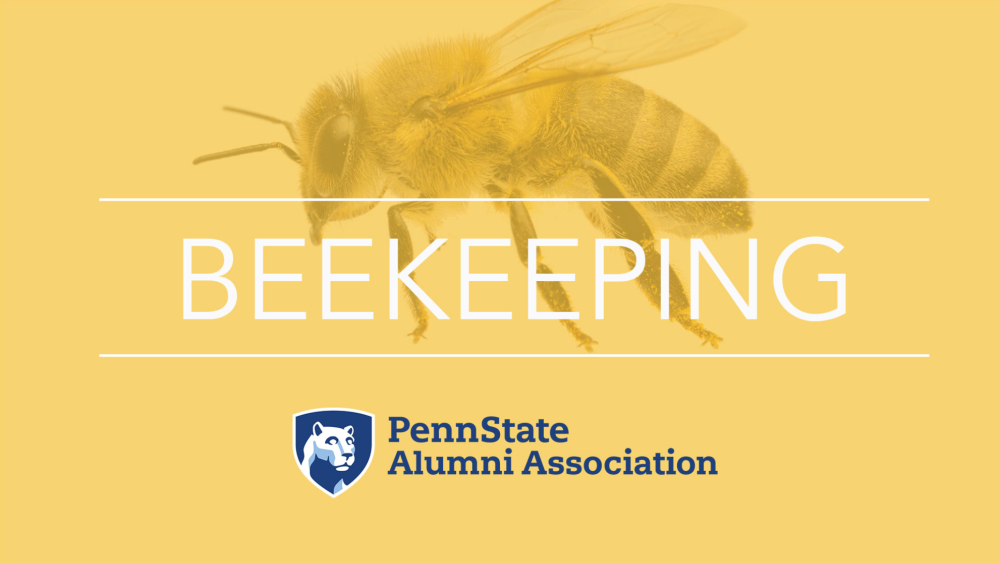 Beekeeping, paint night, news literacy discussion headline 'PSAA ...