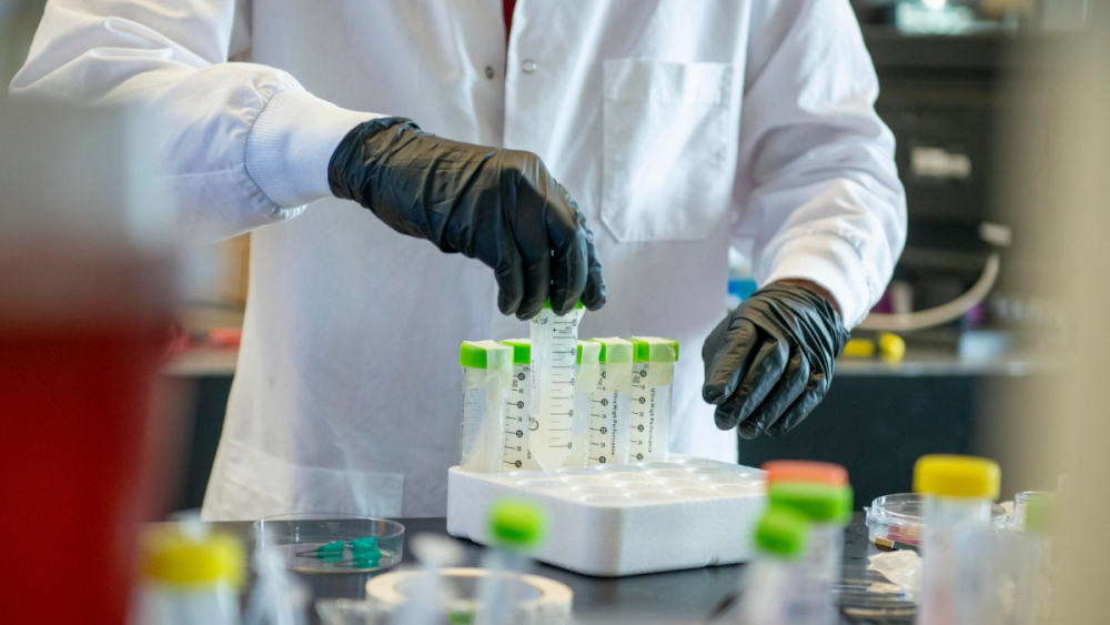 Researchers encouraged to take ideas from the lab to the marketplace ...