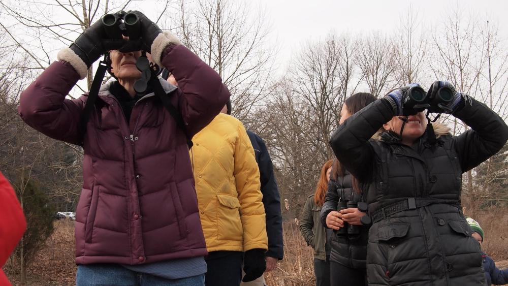 Penn State researchers study biodiversity through science and art ... Penn State researchers study biodiversity through science and art ...