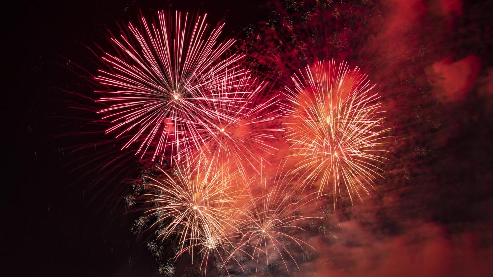 The Medical Minute: Let the experts handle the Independence Day ...