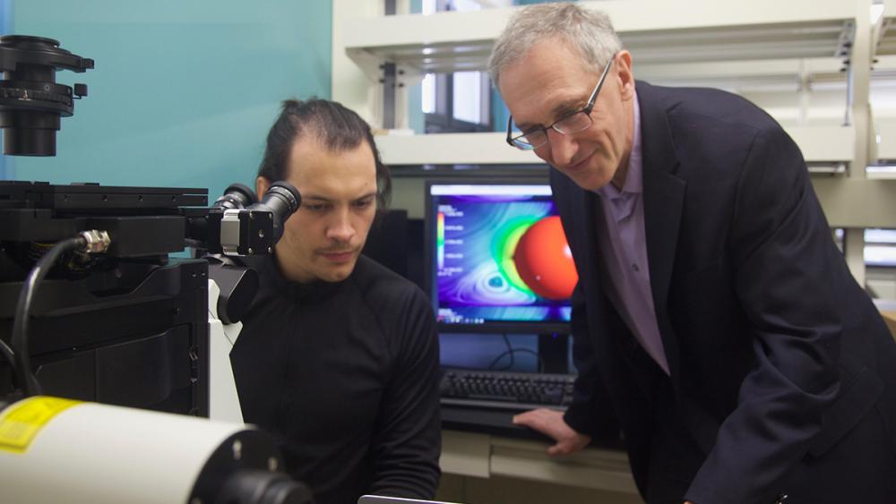 Penn State researchers use ultrasound to control orientation of small ... Penn State researchers use ultrasound to control orientation of small ...