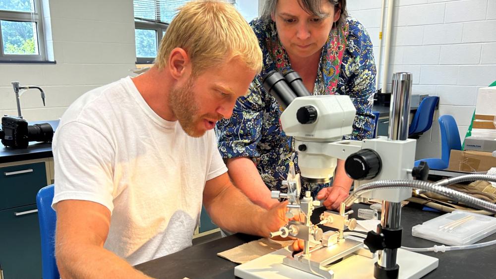 Workshop empowers beekeepers to breed more resilient honey bees | Penn ...