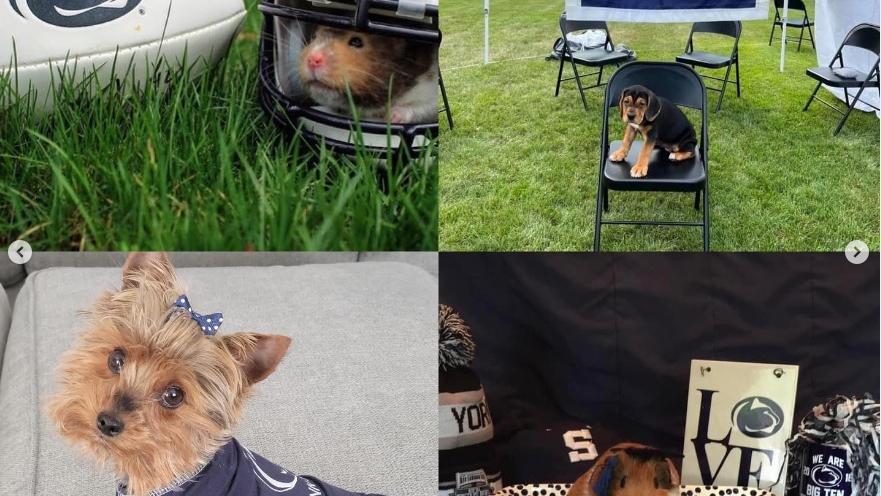 'Pawsome' Penn State pet photos | Penn State University