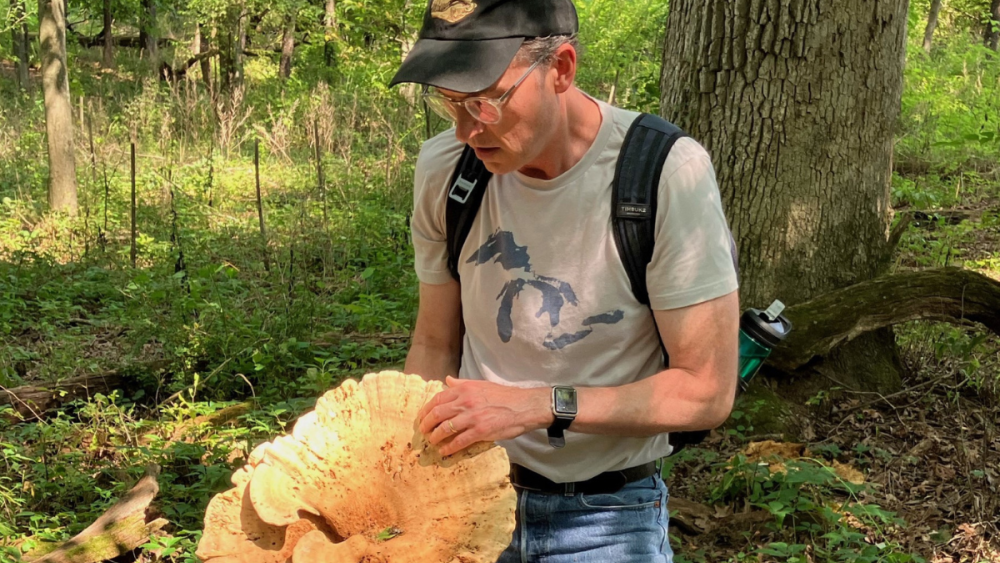 Penn State professor elected to Mycological Society of America ...