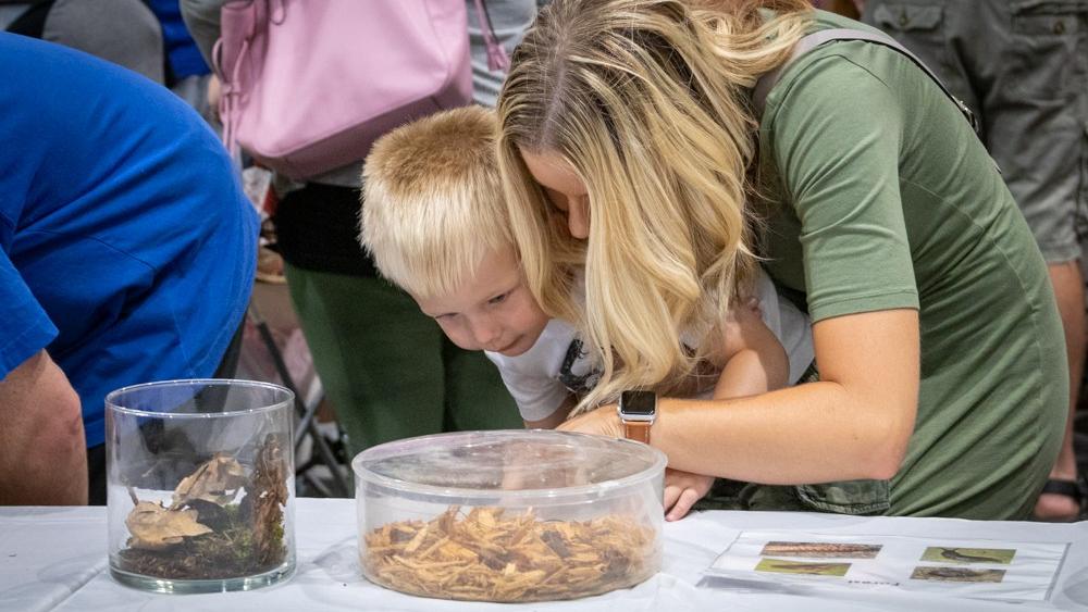 Penn State’s Great Insect Fair returns to Snider Ag Arena on Sept. 30 ...