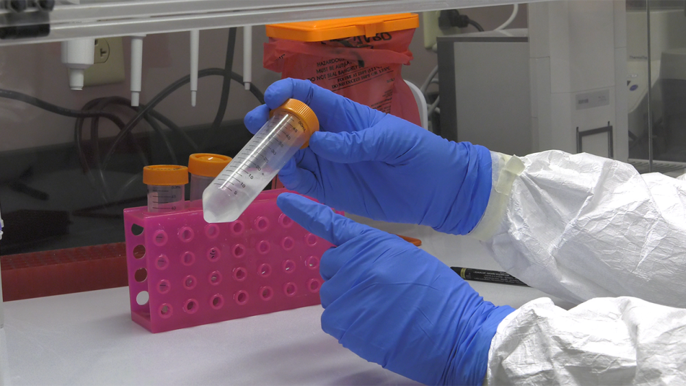 Q&A: Indigenous community-first approach to more ethical microbiome ...