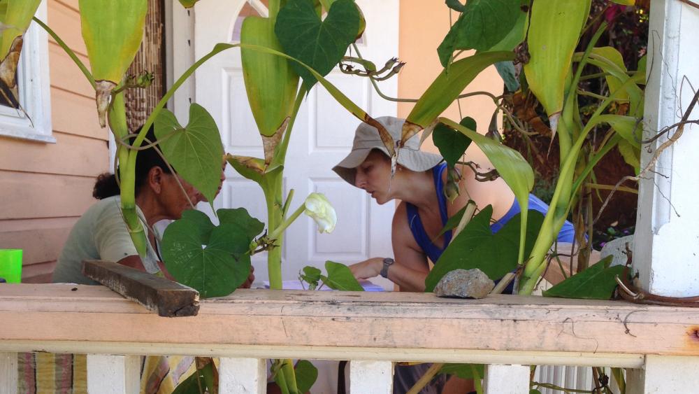 Deciphering the genetic link between skin tone and ancestral origins ...