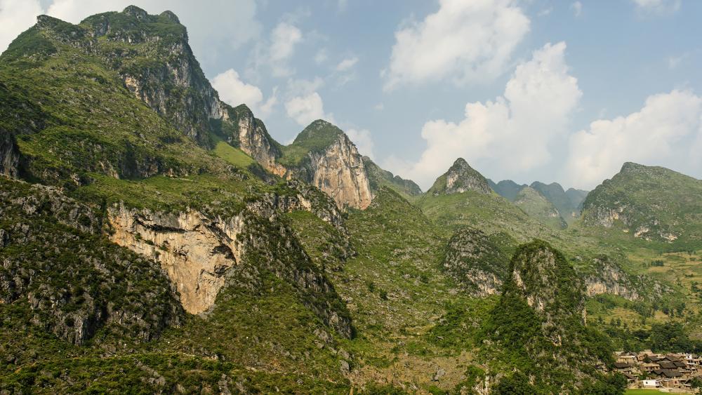 Reefs recovered slower than broader ecosystem following ancient ...