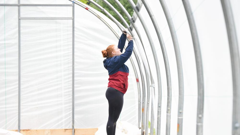Behrend high tunnel extends growing and giving season | Penn State ...