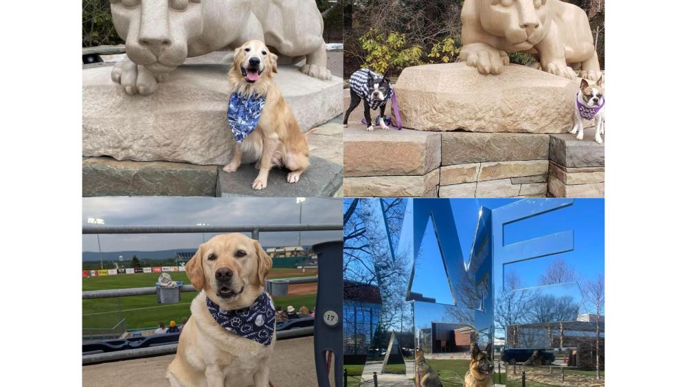 Penn State 'furever' | Penn State University
