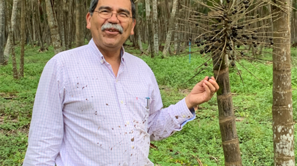 Professor elected to American Geophysical Union, receives Ambassador ...