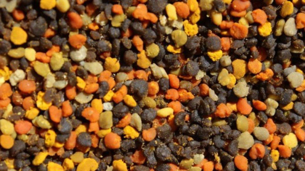 Katie Bohn - Journalist Profile - Intelligent Relations